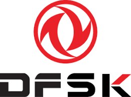 Chargers and Cables for DFSK Cars – EV Extras